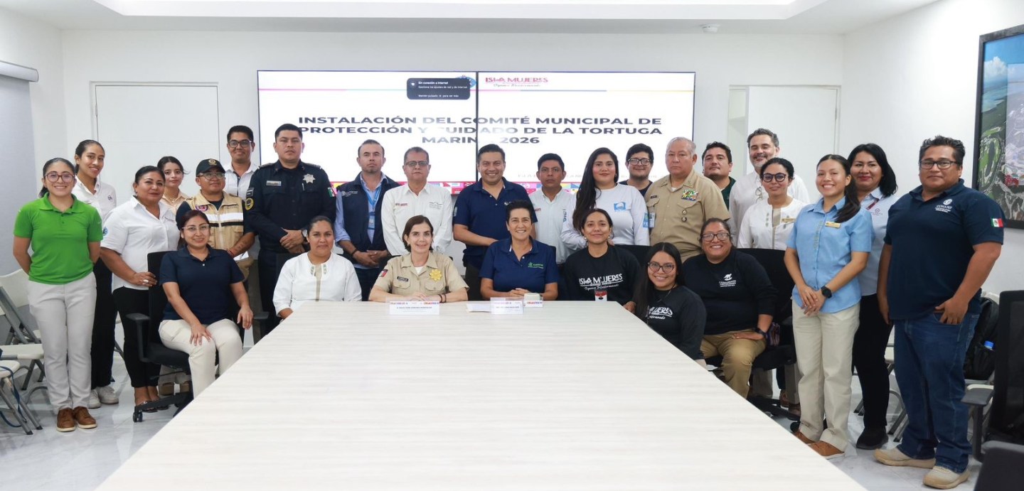 Gobierno de Isla Mujeres instala Comité para proteger a la tortuga ...